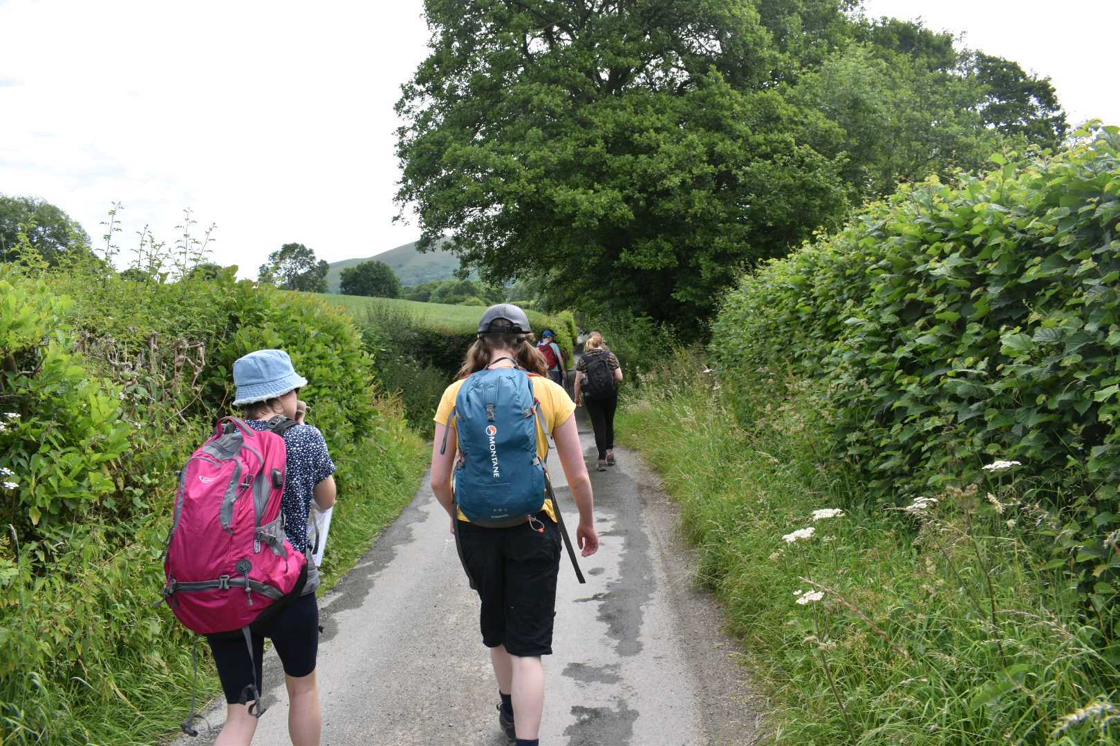 Going for Gold by Josh